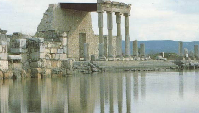 Archè : il concetto di Archè nella filosofia presocratica