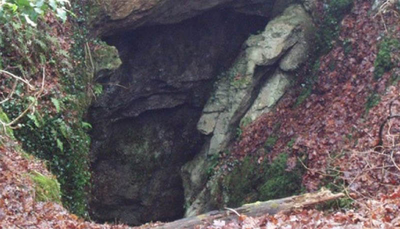 Foibe: descrizione generale, vittime e i loro aspetti principali