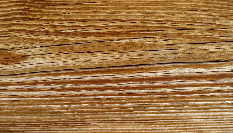 Caratteristiche del legno: nozione principale, caratteristiche e ...