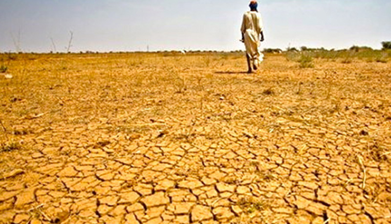 Carestie: le cause e le loro caratteristiche principali