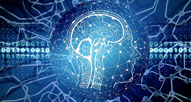 Intelligenza: descrizione, definizione e aspetti principali