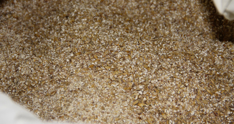 Malto: origine, processo produttivo e prodotti ottenuti