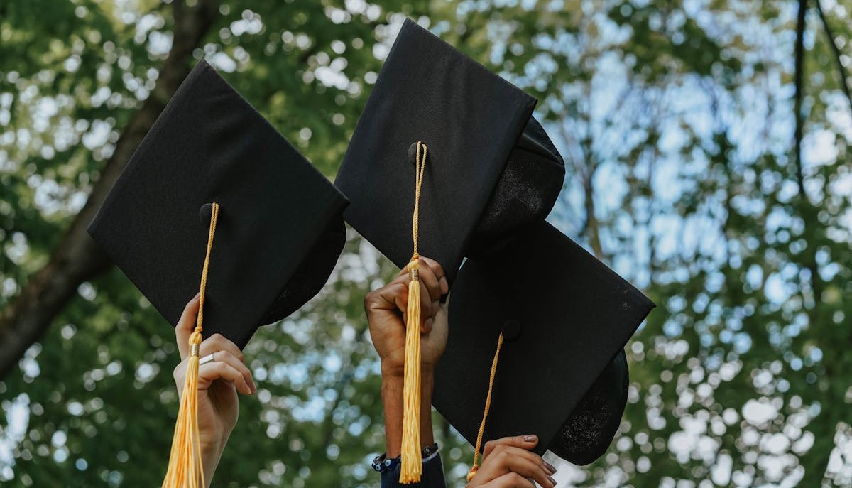Dediche commoventi sulle tesi di laurea - I TikTok più belli