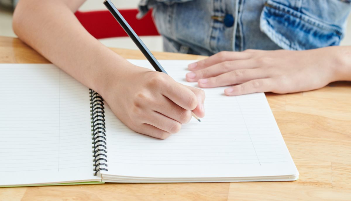Schema Testo Argomentativo Prima Prova Maturità 2026