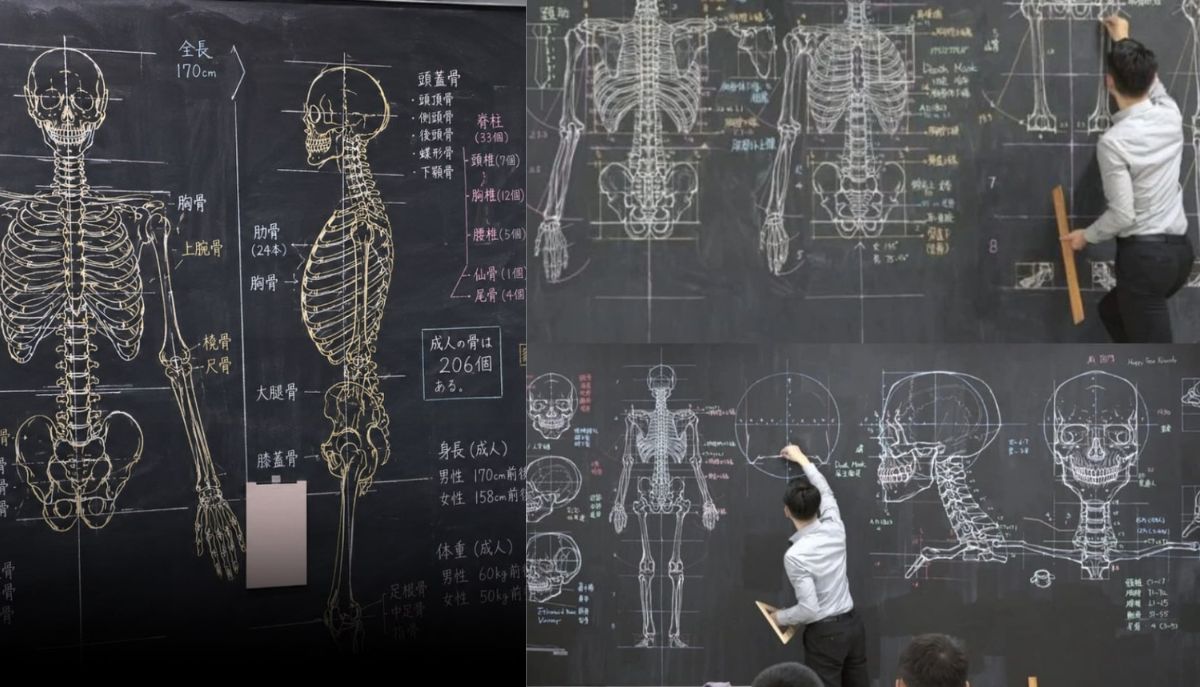 Disegni di anatomia alla lavagna: le opere del prof Zhong Quanbin