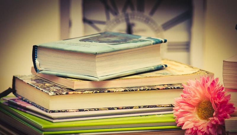 Terenzio - Analisi dei personaggi della commedia Adelphoe