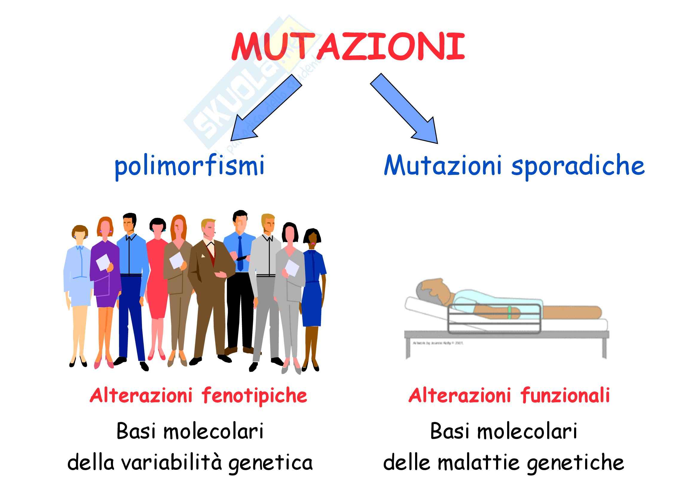 Genetica umana - alleli e Mendel - Appunti