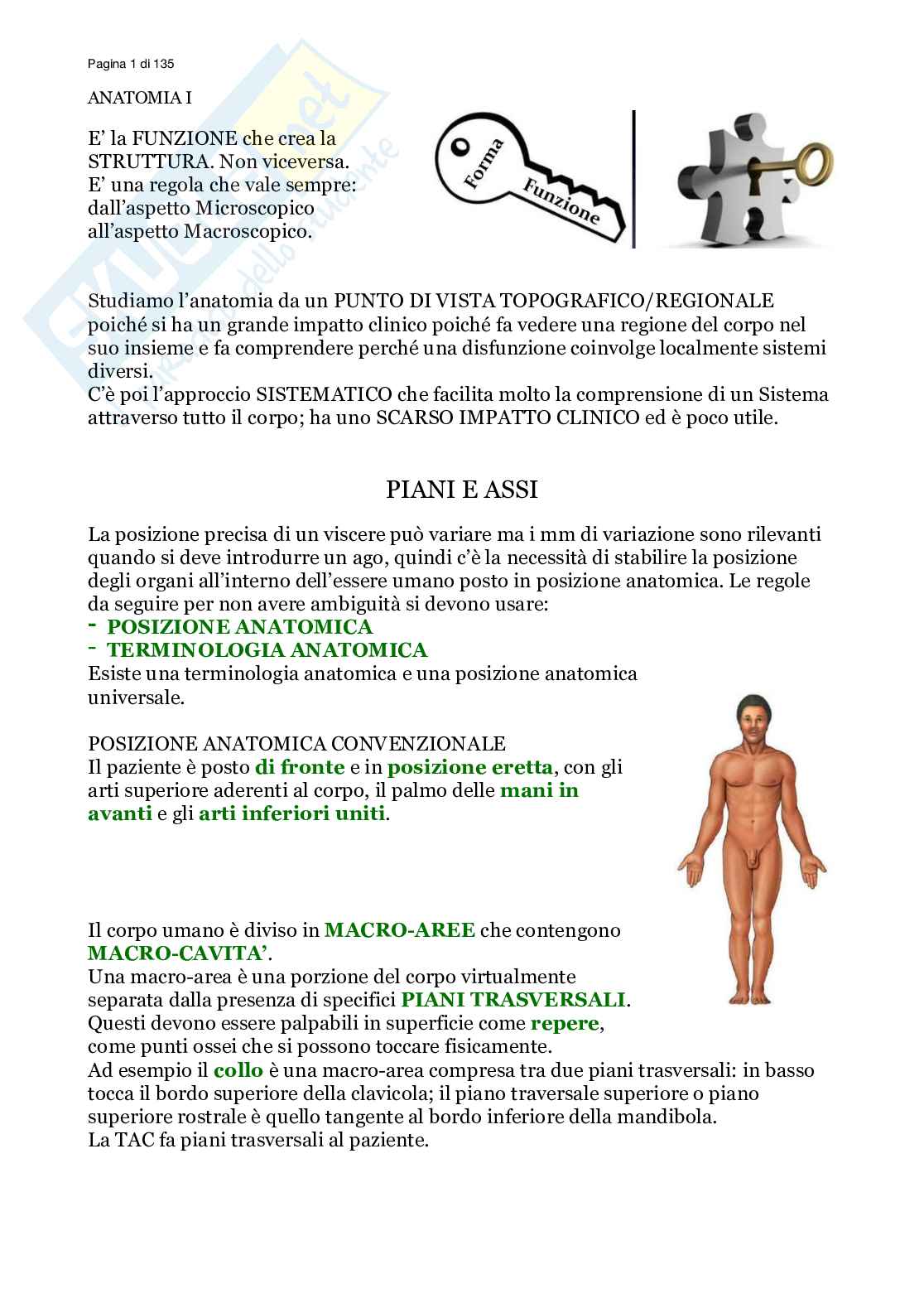 Anatomia del torace