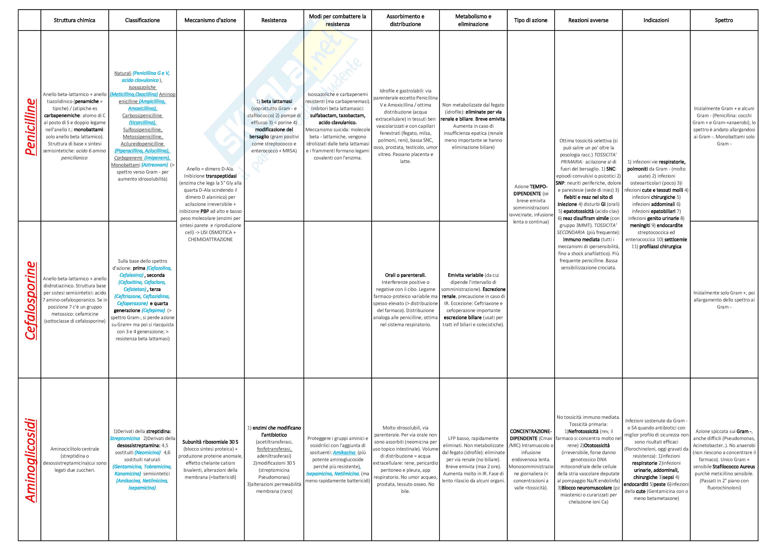 Schema completo delle classi di antibiotici