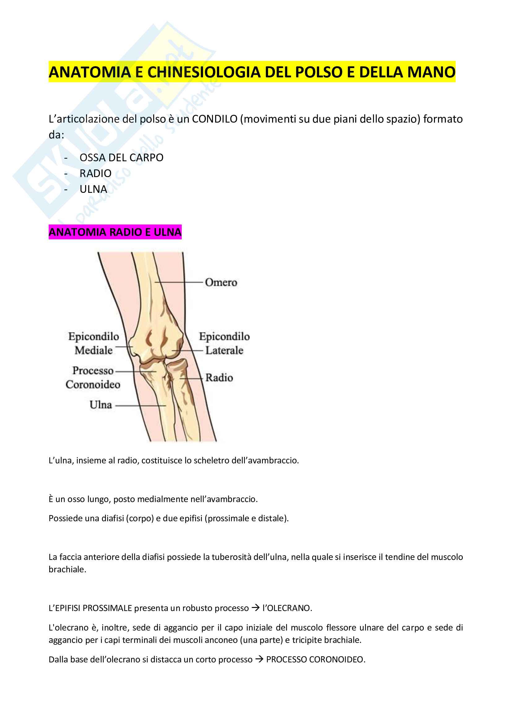 Appunti di Anatomia e chinesiologia del polso e della mano