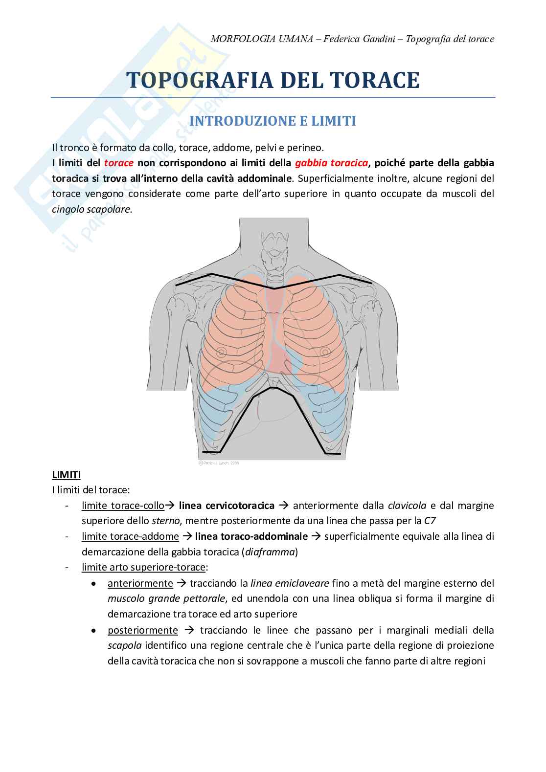 Appunti - Schema - riassunto anatomia umana: topografia del torace ...