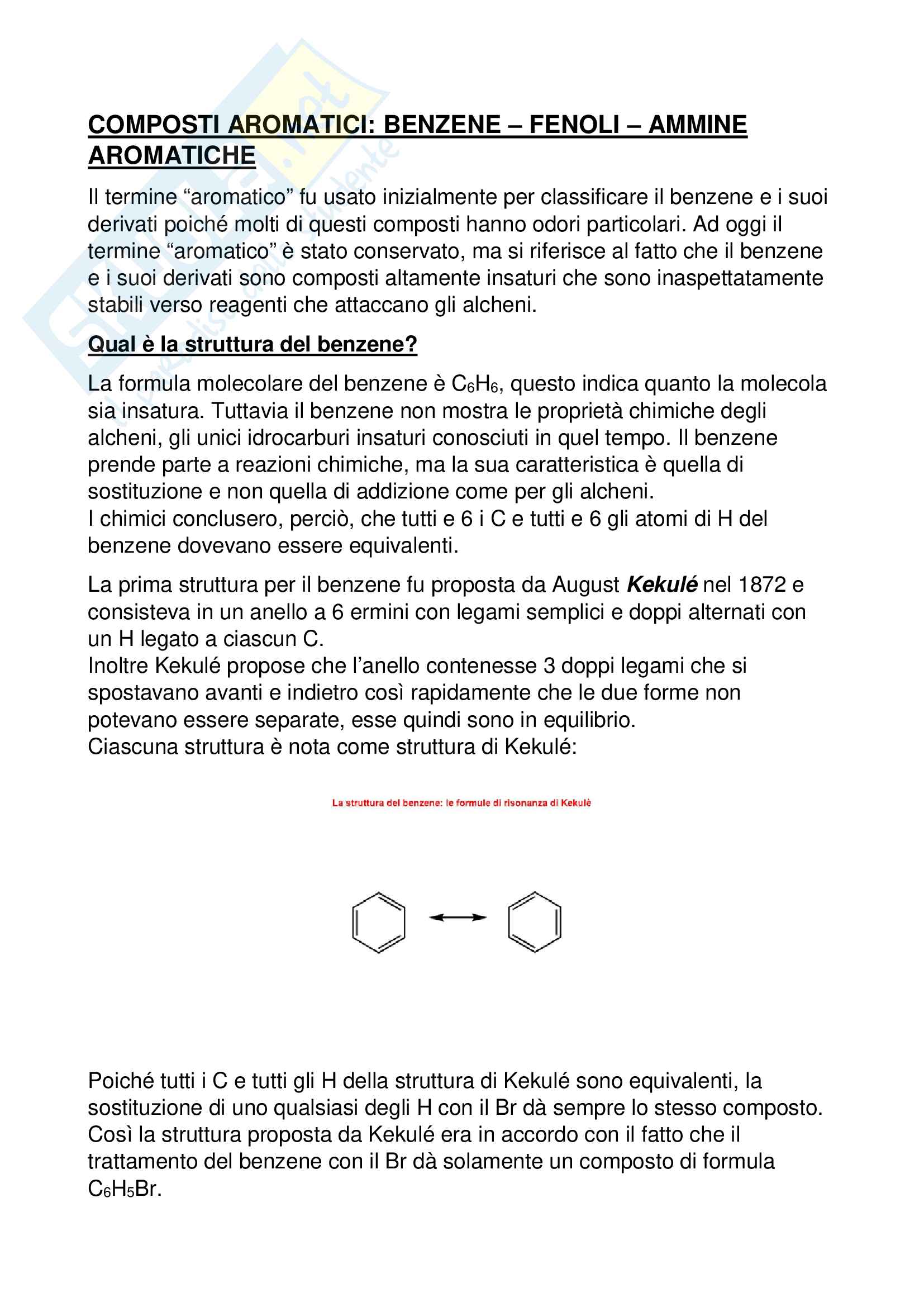 Composti aromatici: benzene, fenoli, ammine aromatiche - Schemi ...