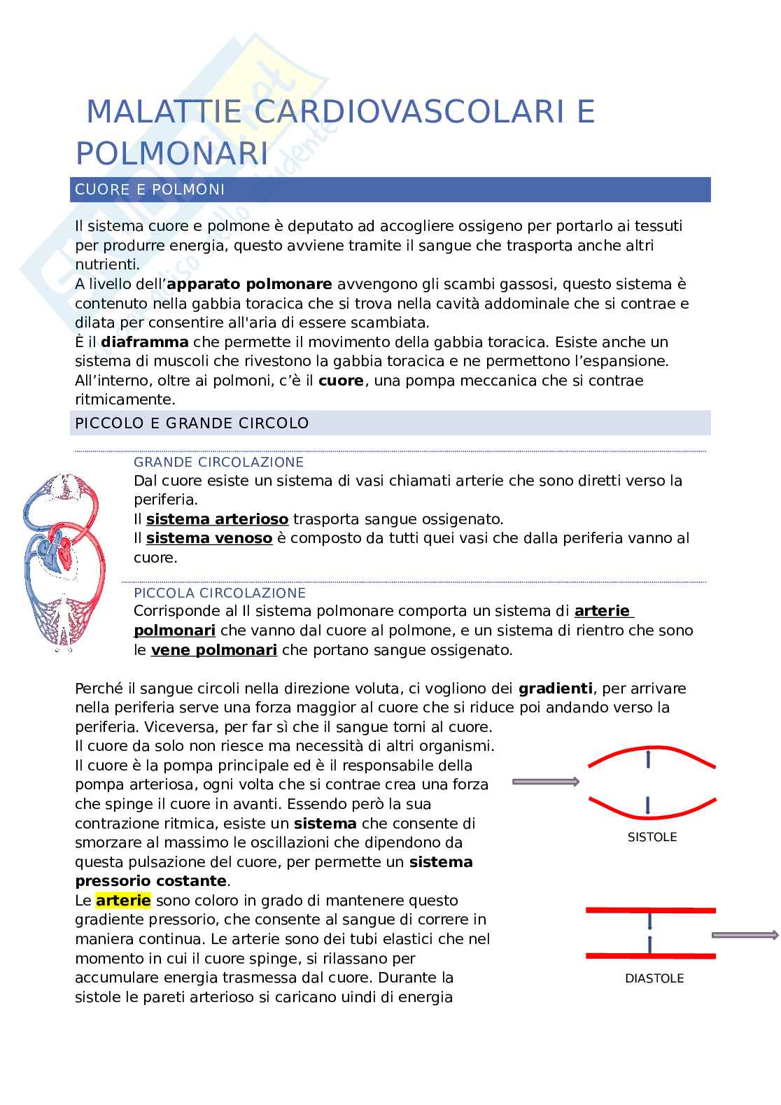 Malattie cardiovascolari e polmonari