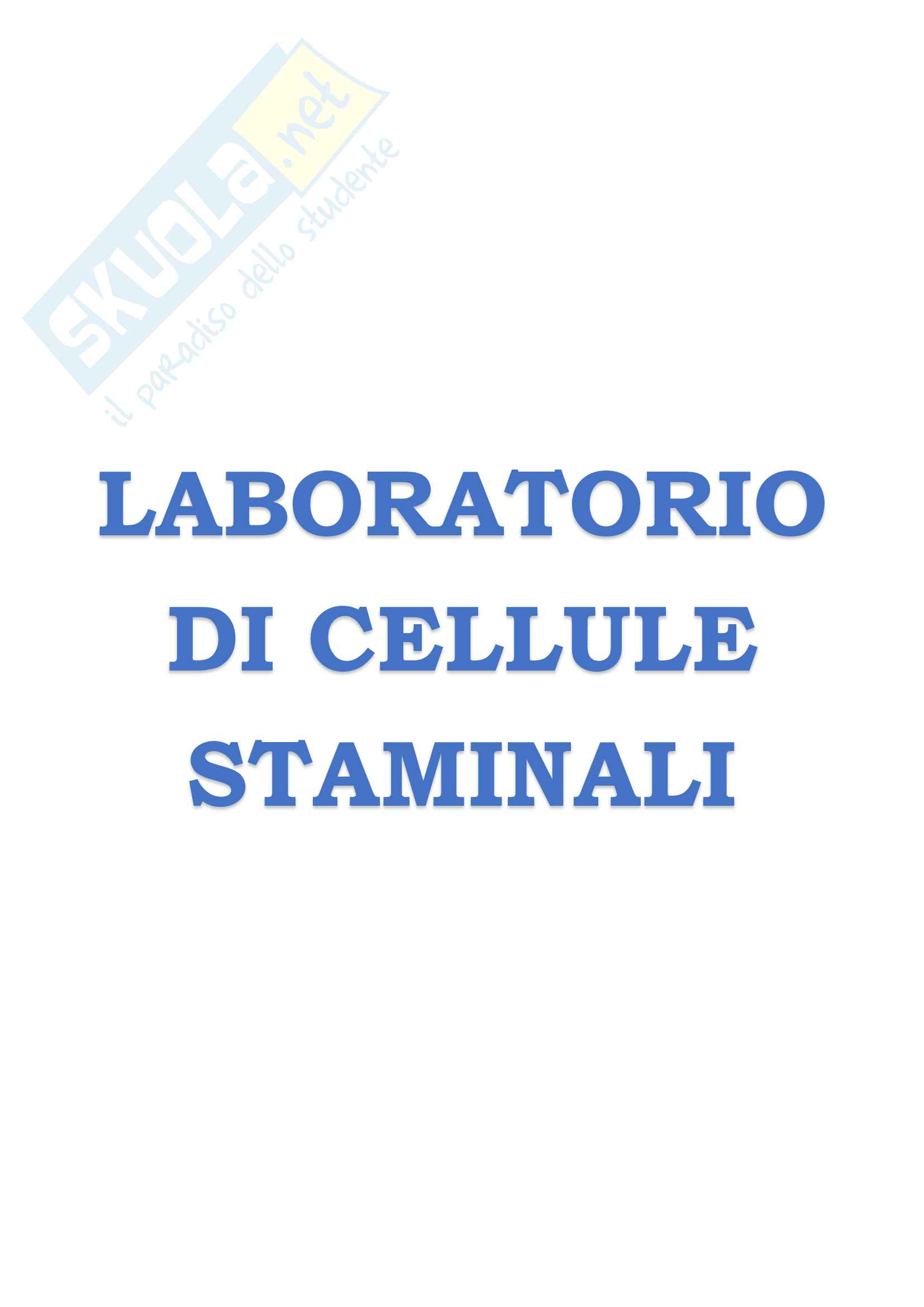 Laboratorio di cellule staminali