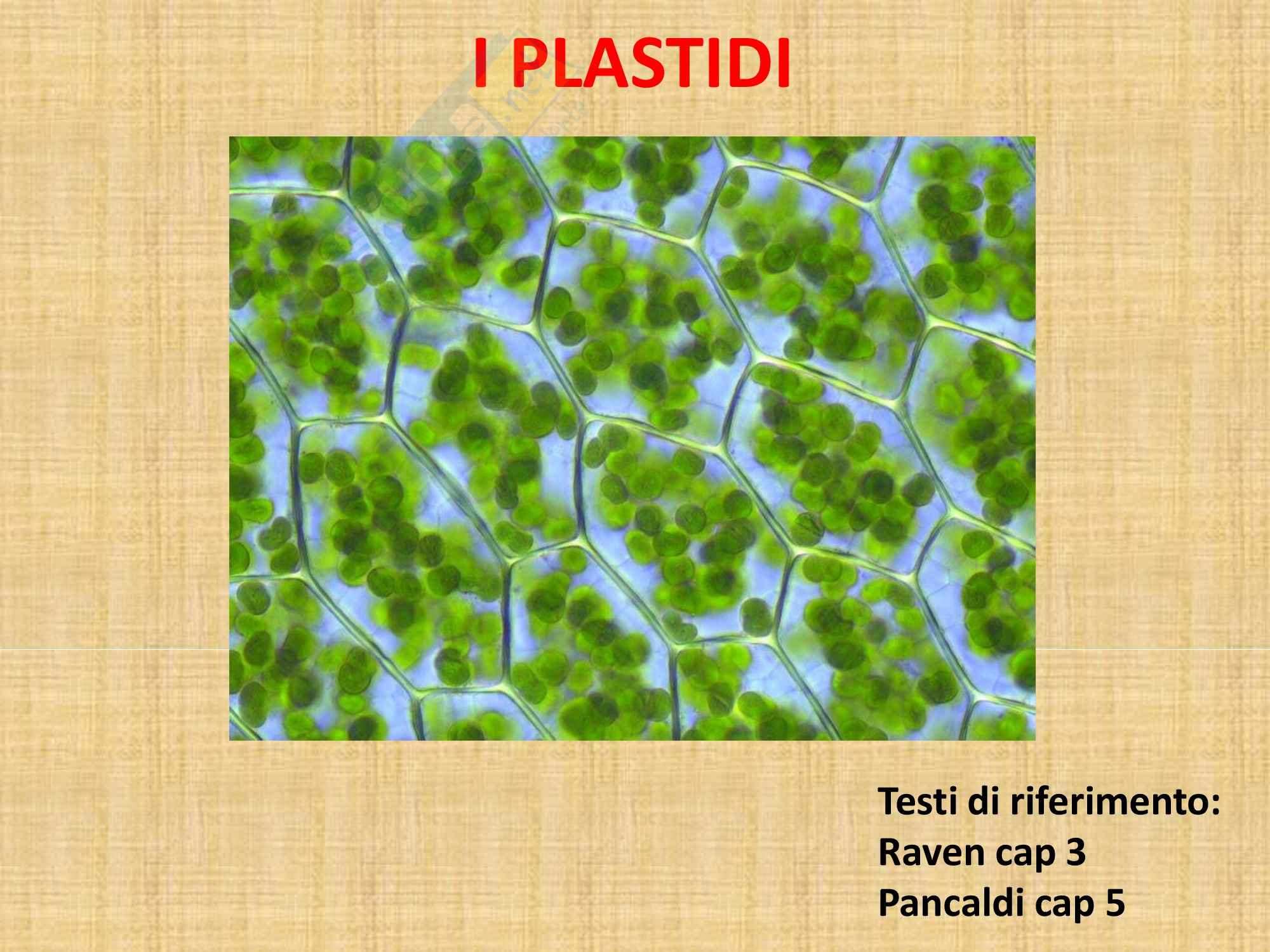 Biologia vegetale - i plastidi
