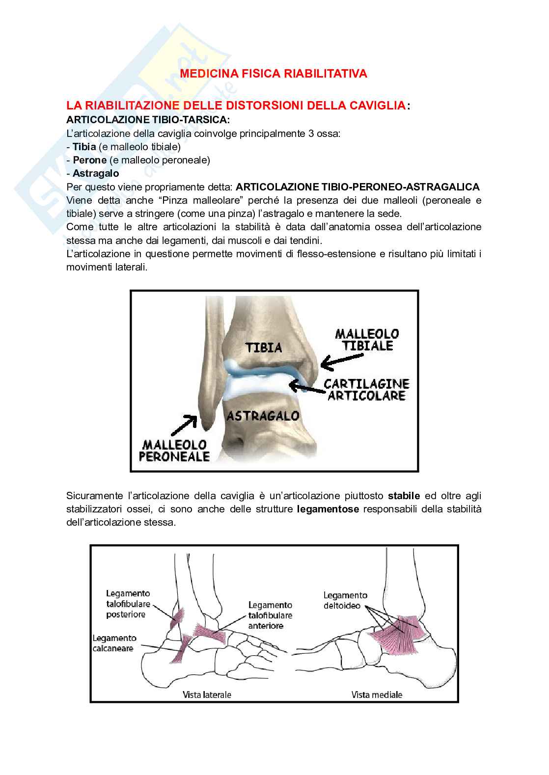Medicina fisica riabilitativa: la riabilitazione delle distorsioni ...