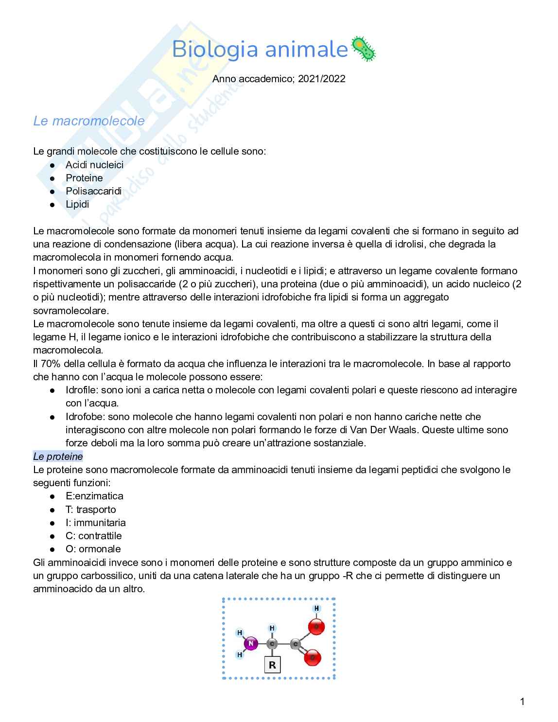 Appunti di Biologia animale