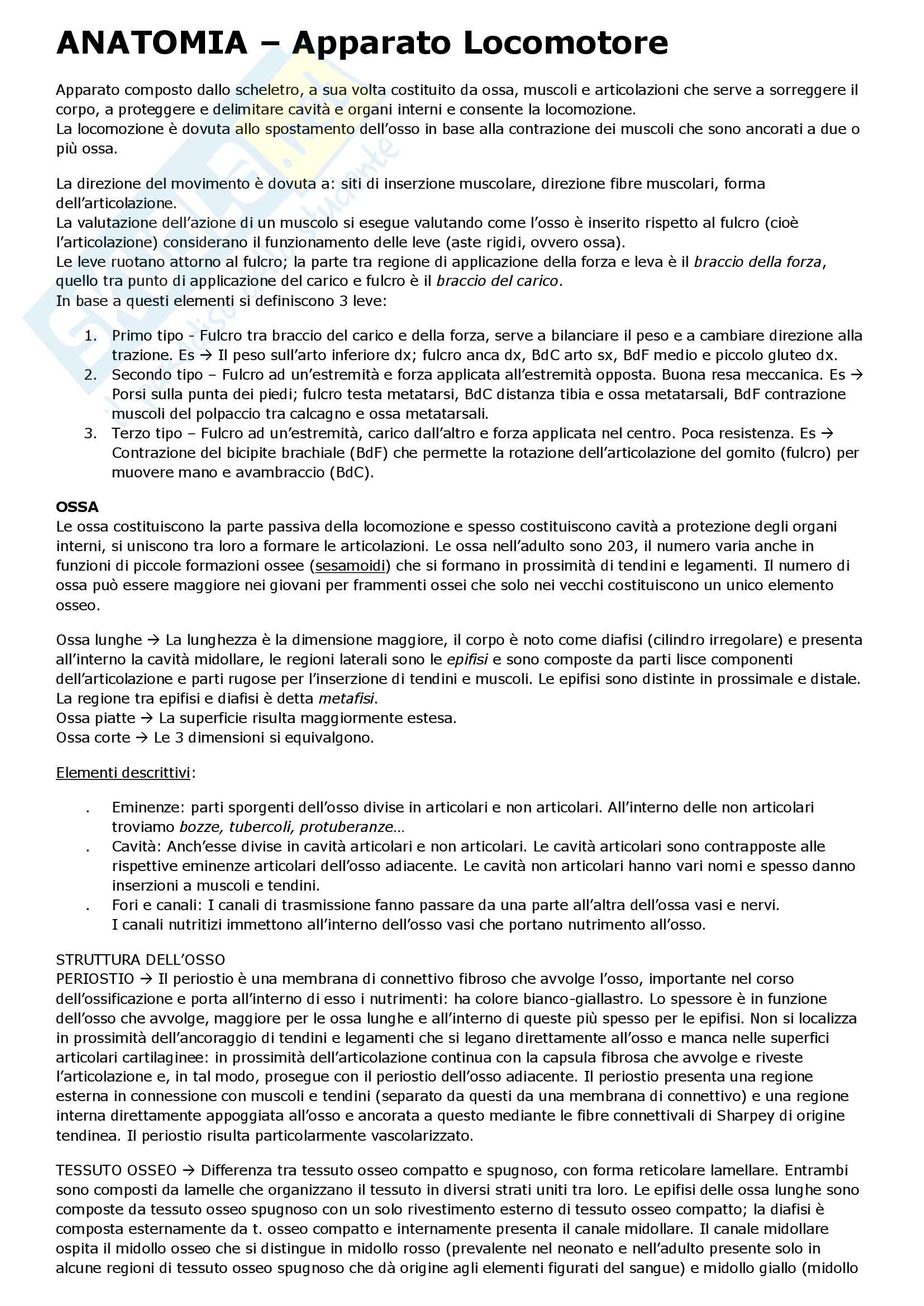 Riassunto esame Anatomia: apparato locomotore, prof. Mammola