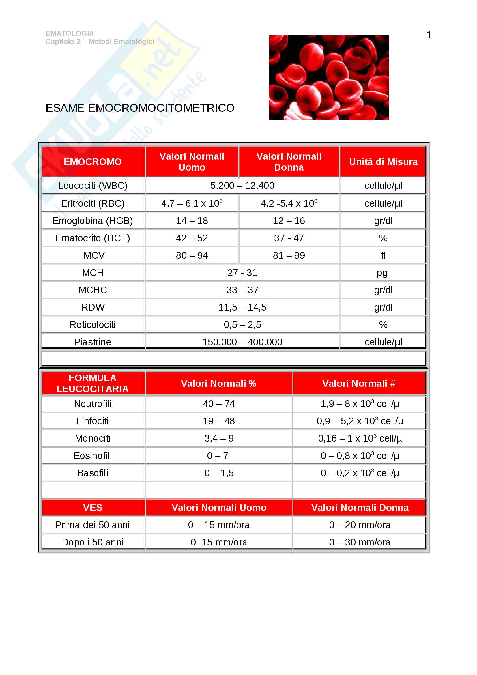 Esame emocromocitometrico: Appunti di patologia clinica