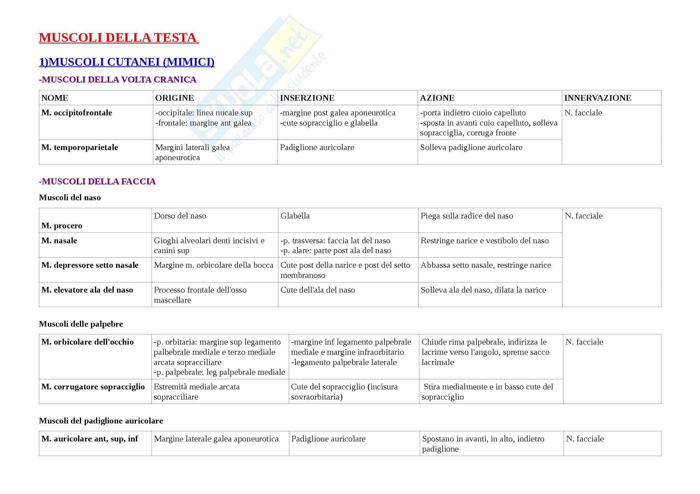 Schema muscoli: Appunti di Anatomia