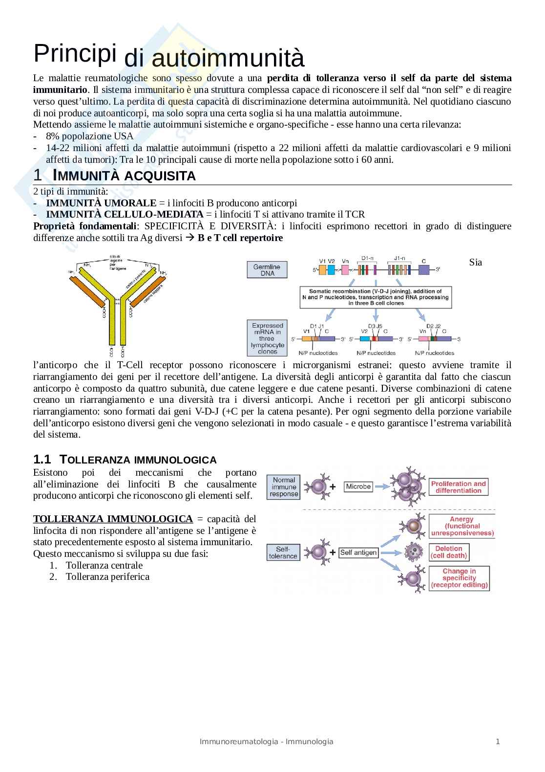 Malattie autoimmuni - immunologia - corso completo