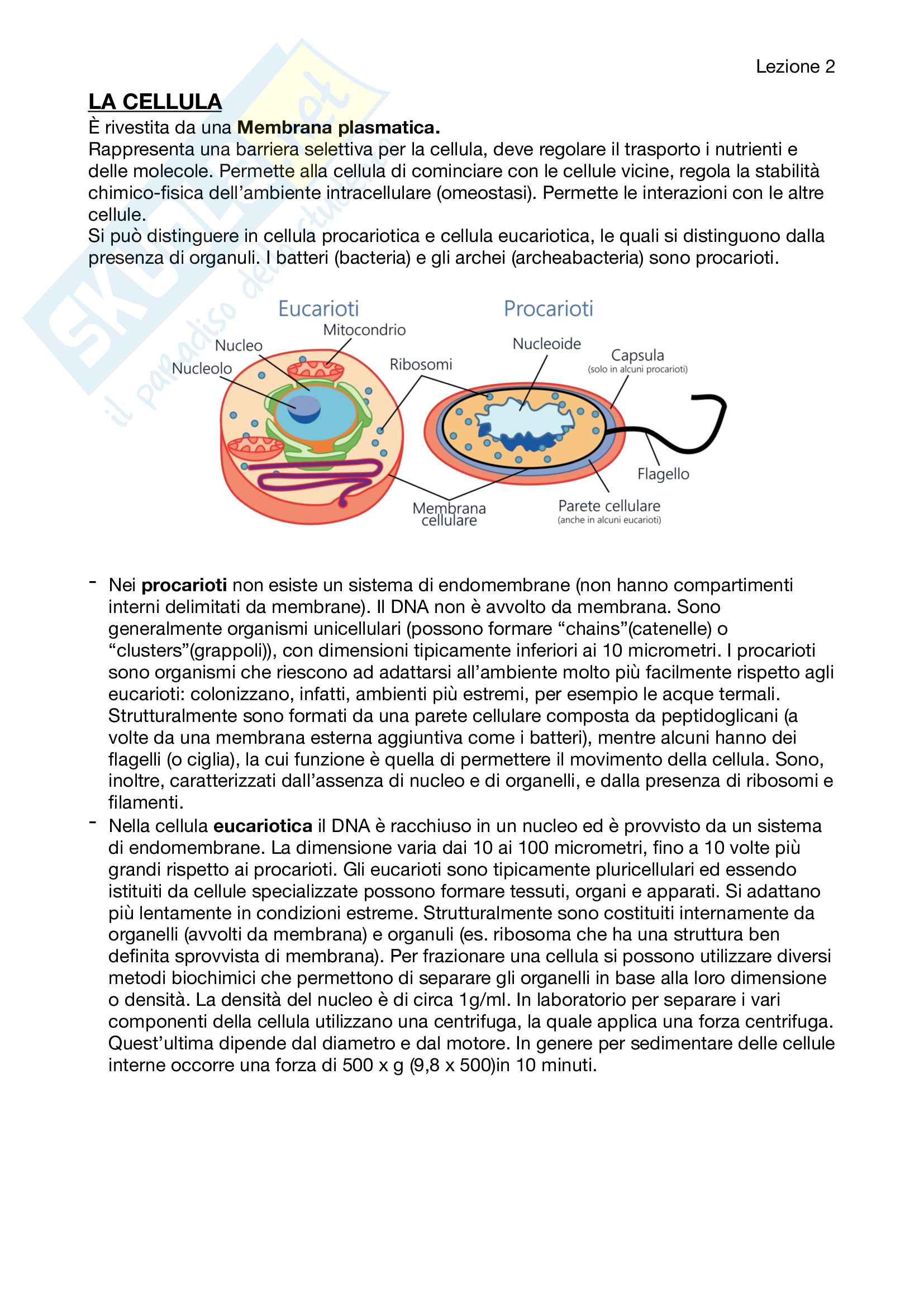 Aspetti strutturali e funzionali riguardanti le cellule