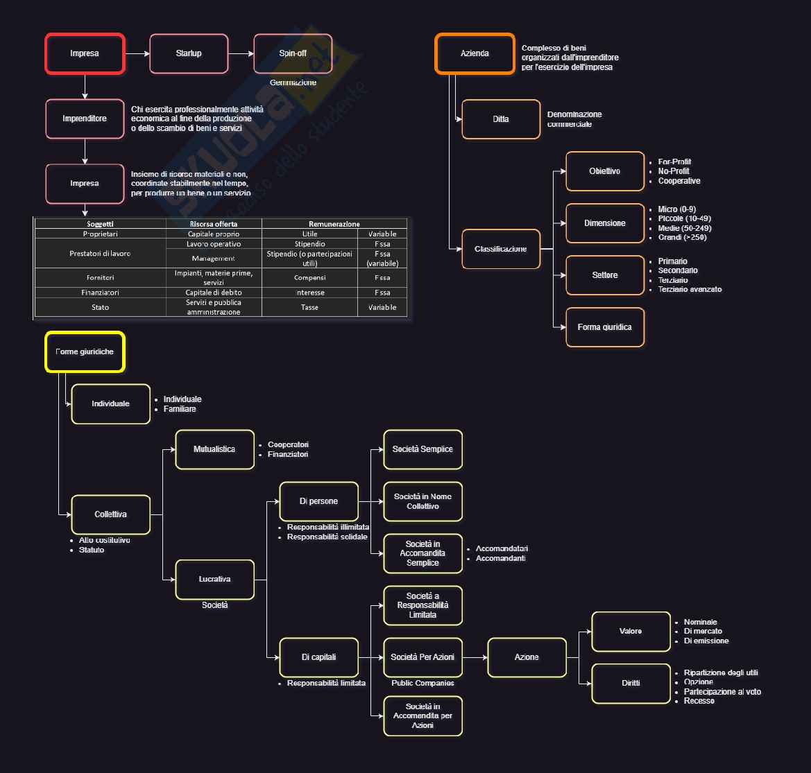 Mappe Concettuali Economia e organizzazione aziendale