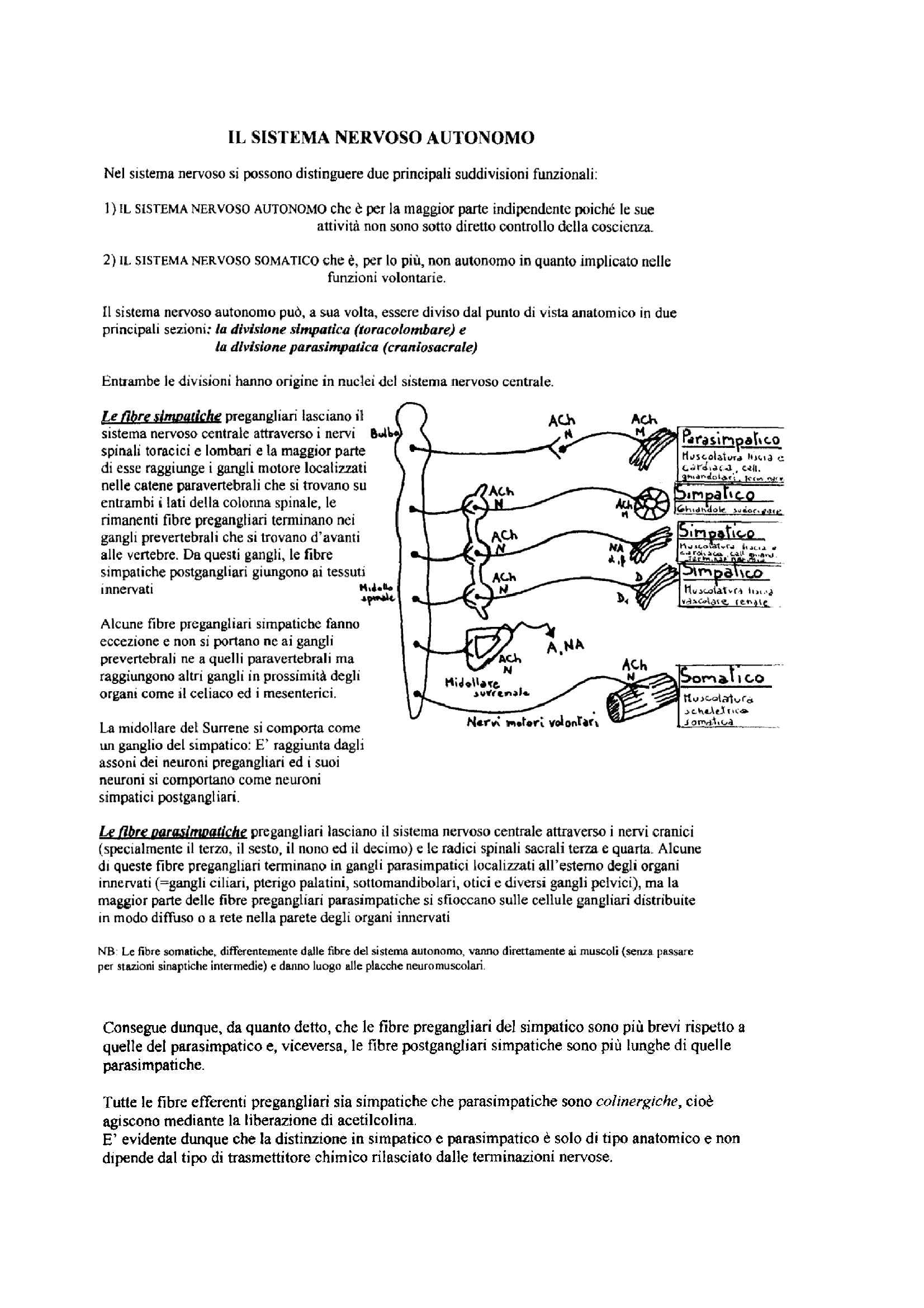 Farmacologia e tossicologia - schema sul sistema nervoso autonomo